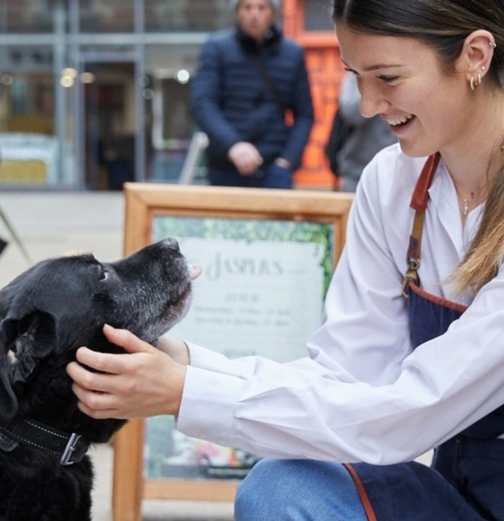 Dog Friendly Dining | Dog Friendly Restaurants Wexford